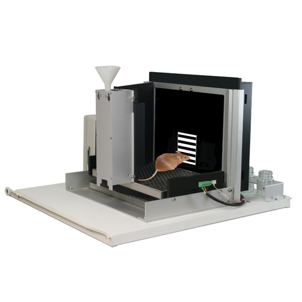 Rodent Continuous Performance Task: Image (rCPT) for Mice | Campden ...
